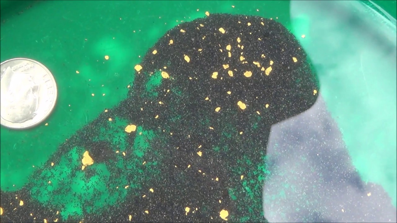 Prospecting for Gold at City Pool - YouTube