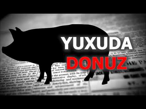 Donuz gormek yuxu yozma-Yuxuda donuz gormek nece yozulur