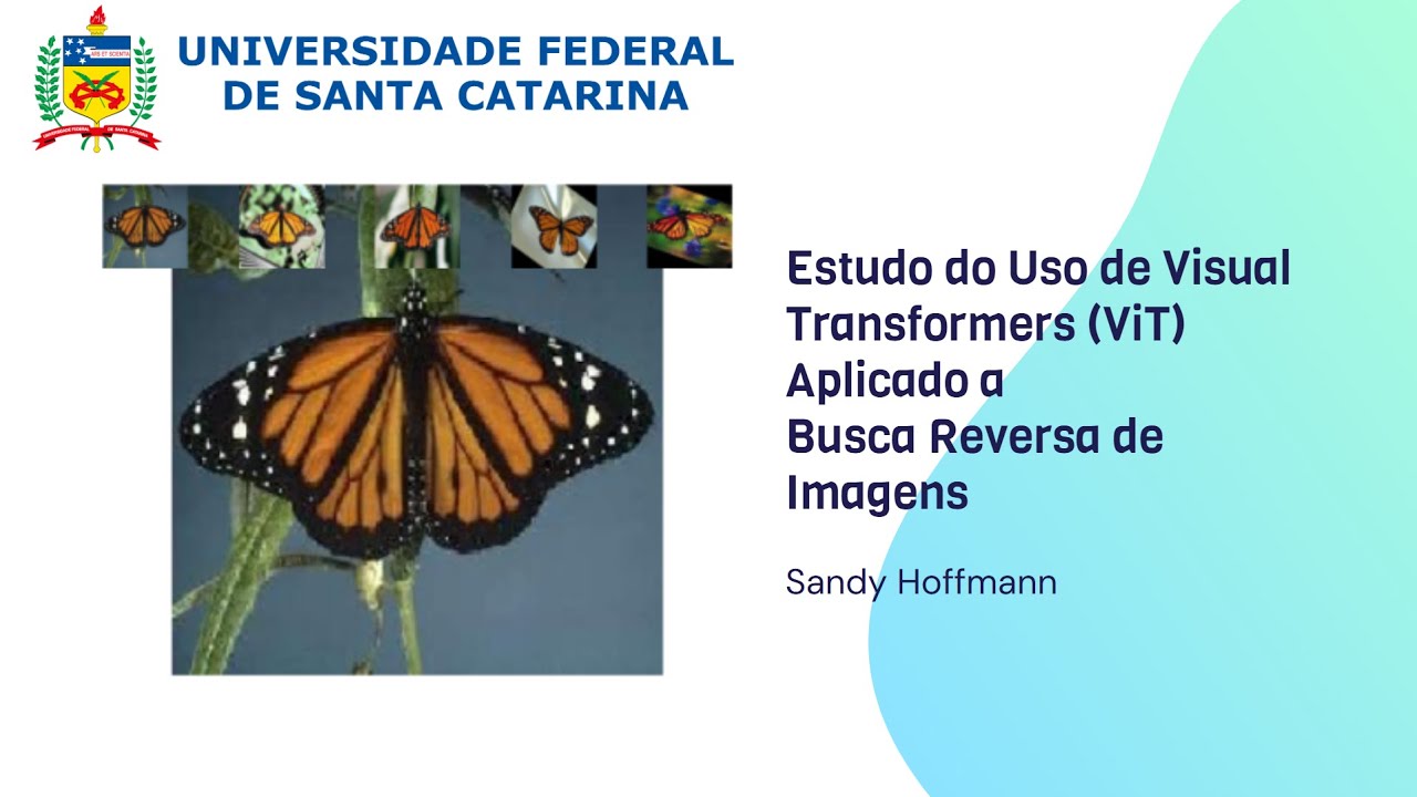 Estudo do Uso de Visual Transformers (ViT) Aplicado a Busca Reversa de ...