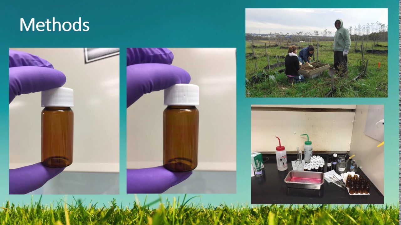 Emily Palumbo CPSG Practicum Testimonial Video - YouTube