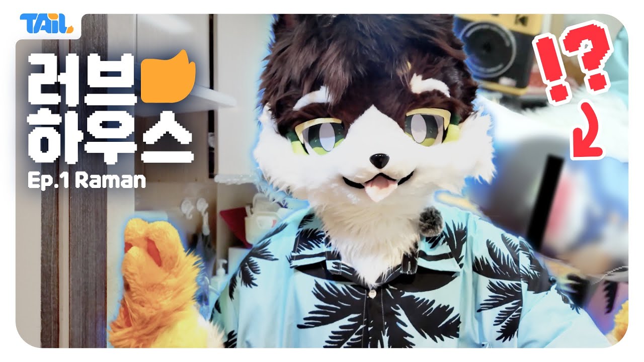 프테일 러브하우스 #퍼슈트 #프테일 #vlog | Project Tail Vlog - YouTube