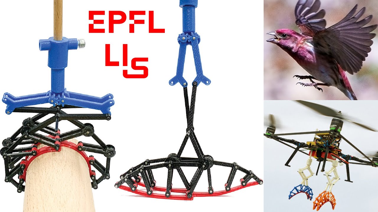 Avian-Inspired Claws Enable Robot Perching or Walking - YouTube