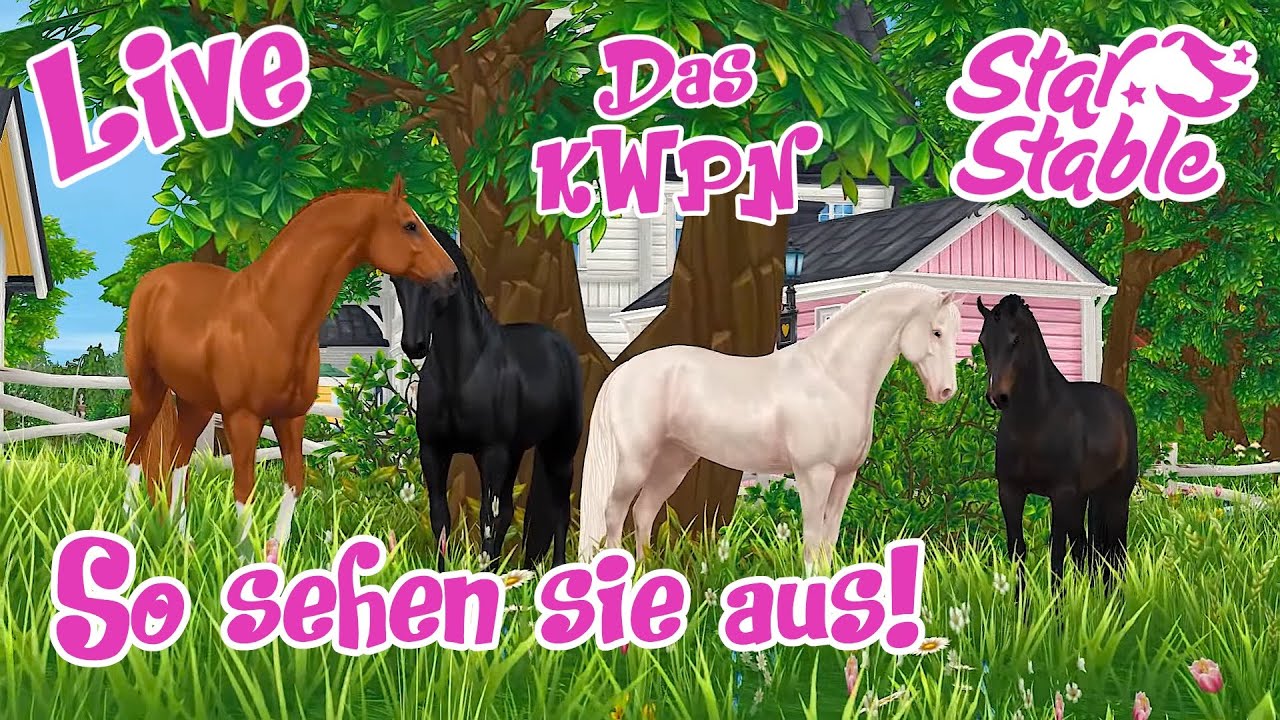 Star Stable [SSO] Live - Morgen kommen die KWPN (Server 11 Icy Palace ...
