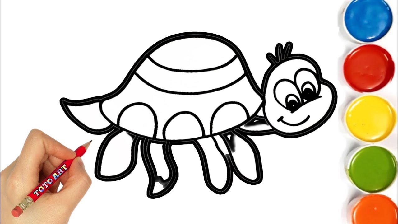 How to draw Happy turtle -Colouring for Kids & Toddlers |Draw, Paint ...