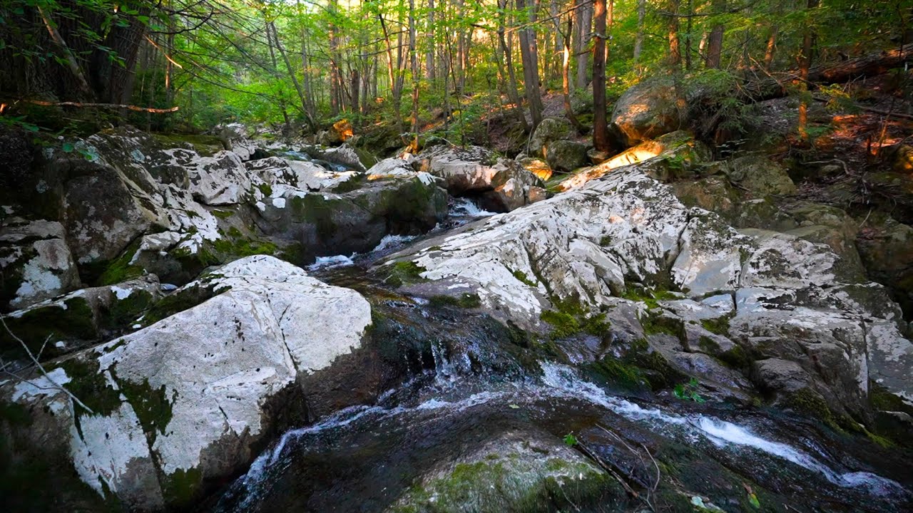 Babbling Brook Relaxing Nature Scene 4K - YouTube