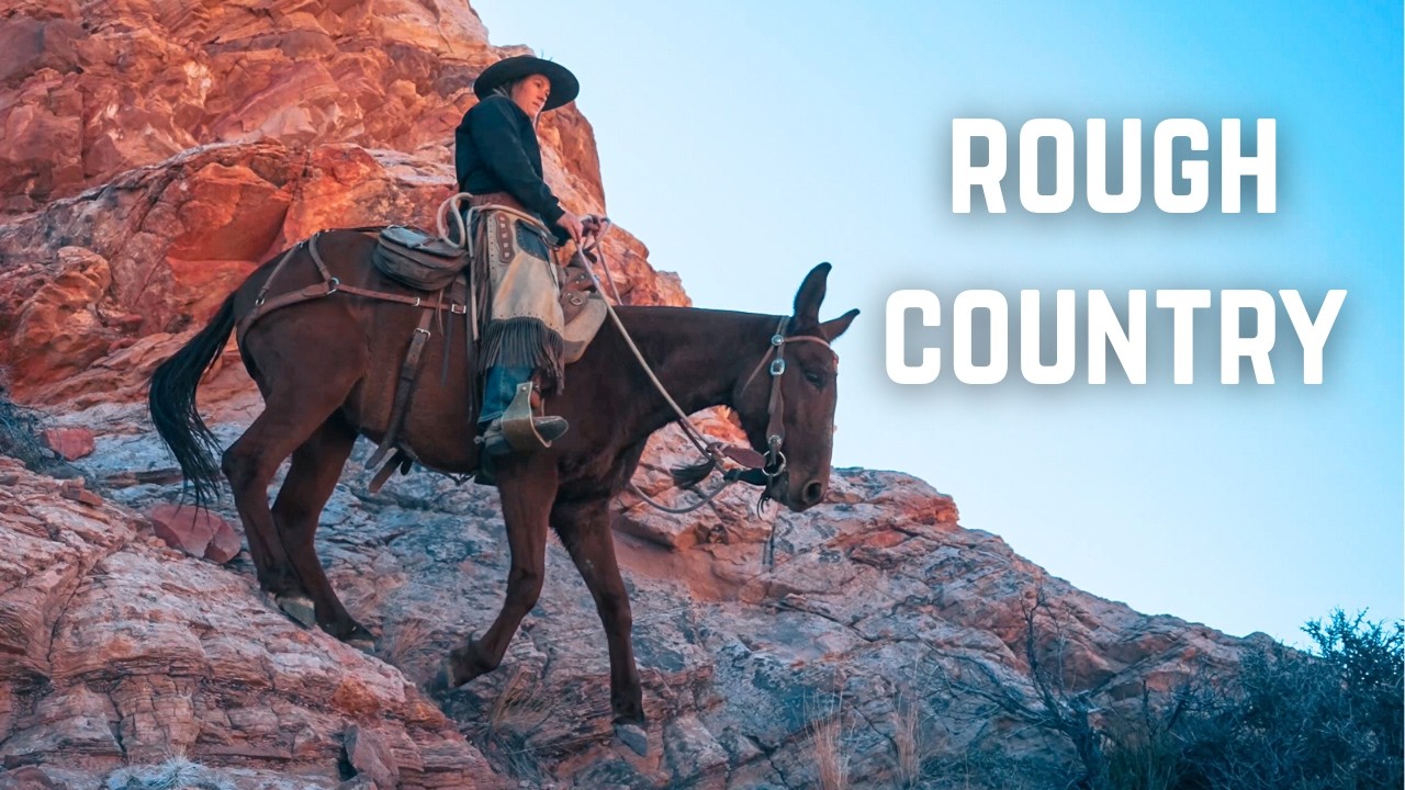Backcountry Rock Crawling With Mules - YouTube
