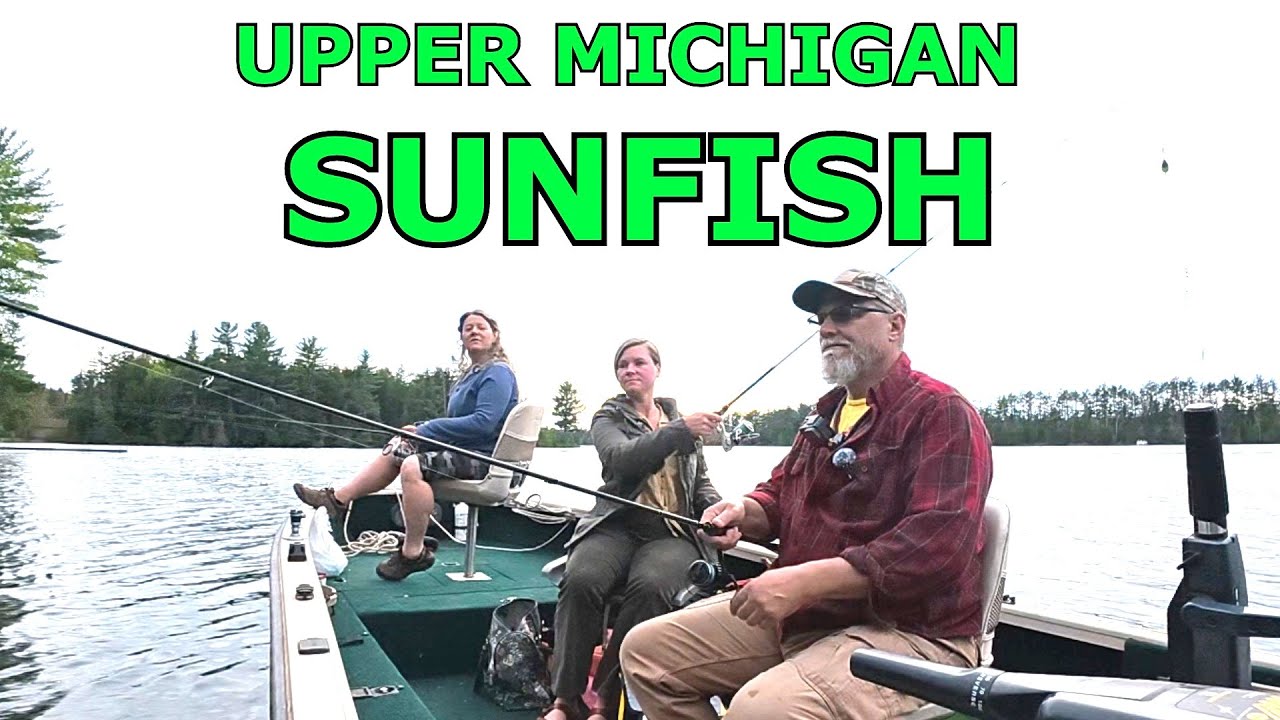 FRESH MEAL OF UPPER MICHIGAN SUNFISH - YouTube