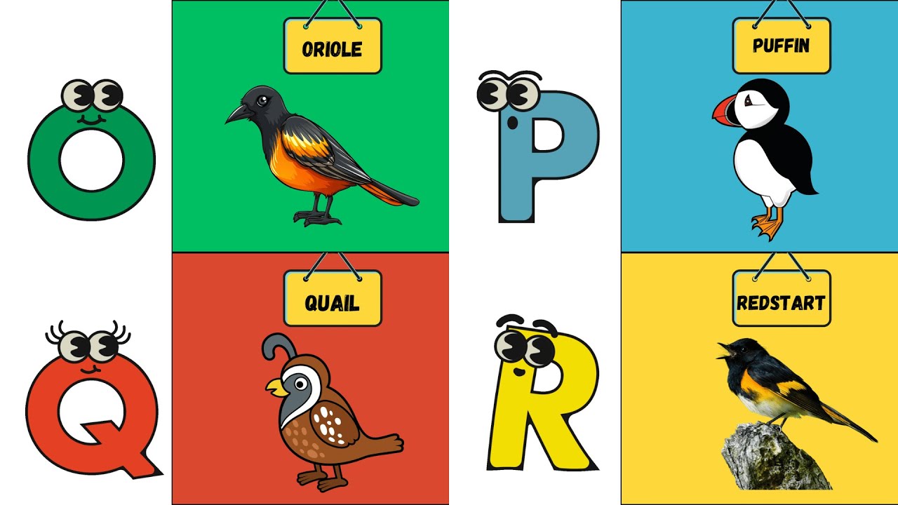 ABC Bird Song 🐦 | Fun Alphabet Song for Kids | Learn Birds from A to Z ...
