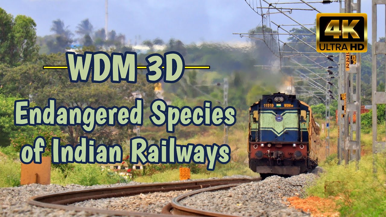Krishnarajapuram WDM 3D 11519 traversing through beautiful country side ...