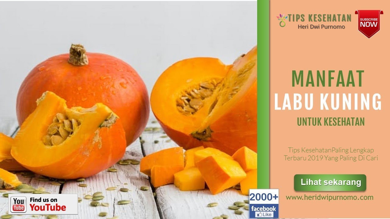 25 Manfaat dan Khasiat Labu Kuning untuk Kesehatan - YouTube