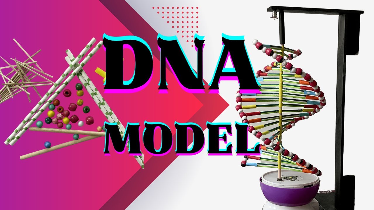 How to Make a Working DNA Model Project | Easy Rotating DNA Structure ...