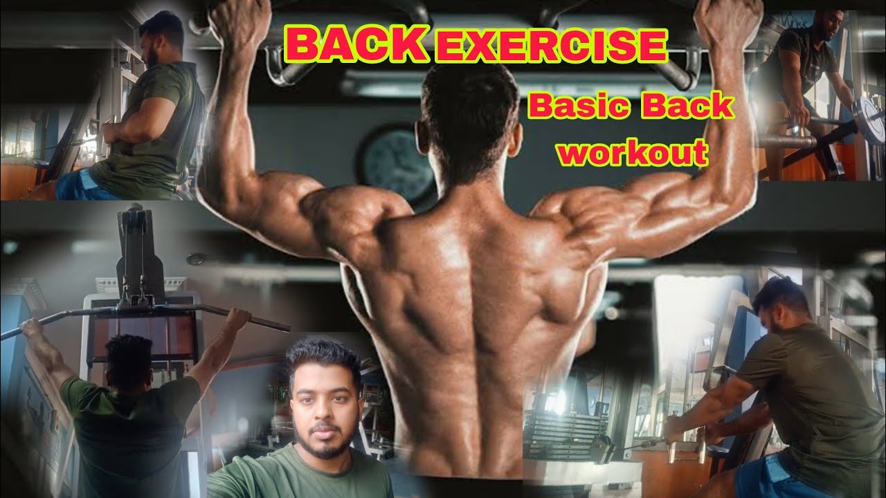 Back Exercise 💪 Gym Basic back workout #backexercise - YouTube