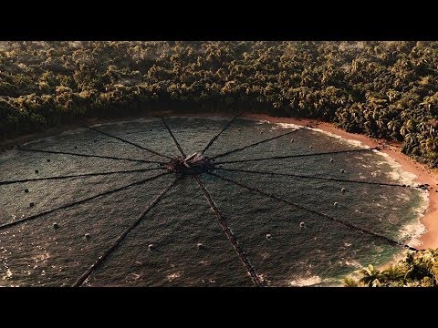 The Hunger Games: Catching Fire - Sia Elastic Heart