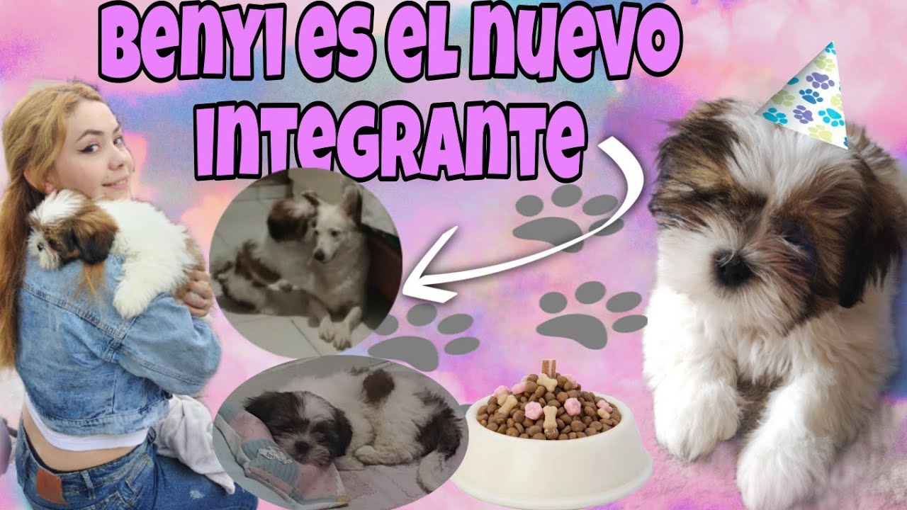 CONOZCAN AL NUEVO BEBE DE LA CASA 🐶 Benyi - YouTube