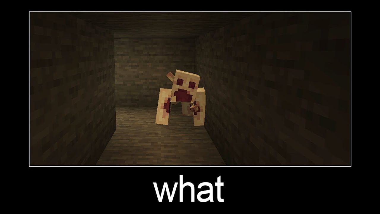 MINECRAFT WAIT WHAT MEME - YouTube