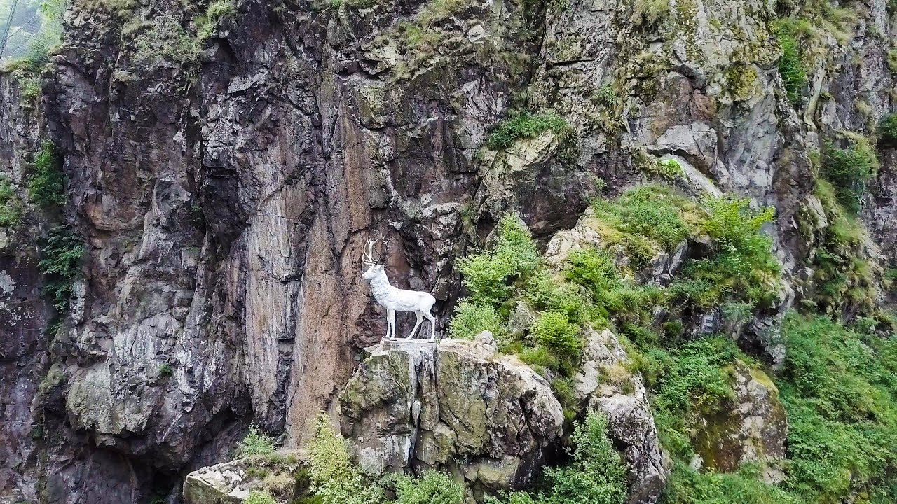 Aerial shot of "Jumping Deer" in the Black Forest | (4K) - YouTube