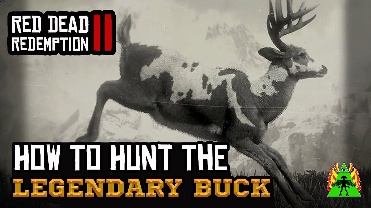 Red Dead Redemption 2 - How to Hunt The Legendary Buck - YouTube