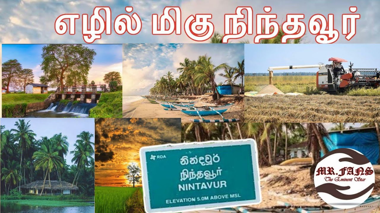 PEARL OF ISLAND NINTAVUR SRILANKA|NATURE BEAUTY PHOTO COLLECTION OF ...