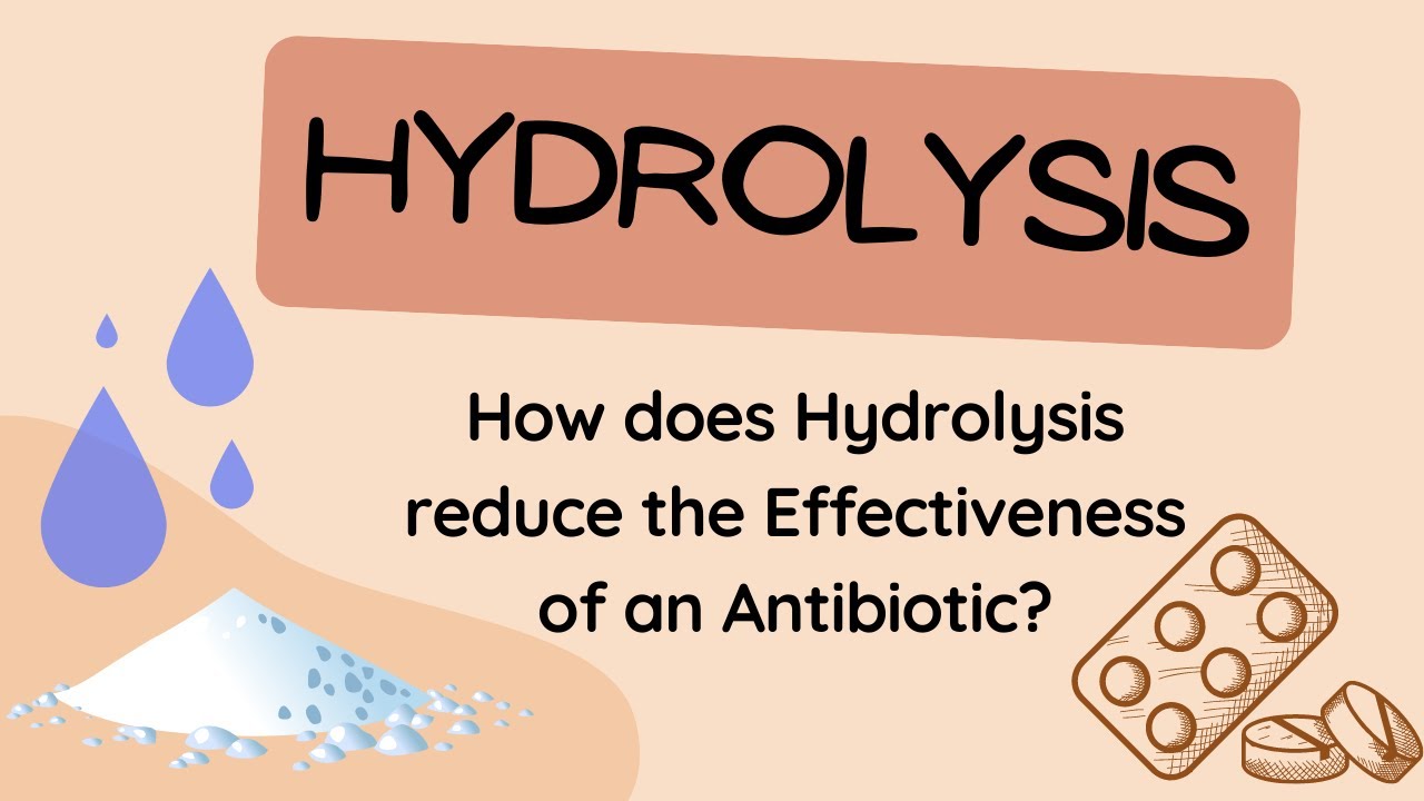 Hydrolysis ( Types, examples and importance) - YouTube