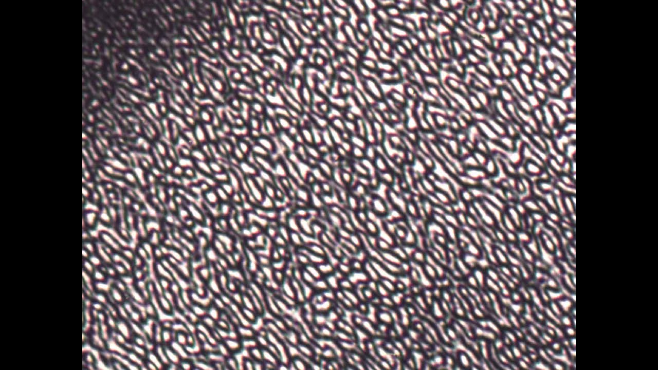 72. Process of initiation of the domain structure in a homeotropic cell ...