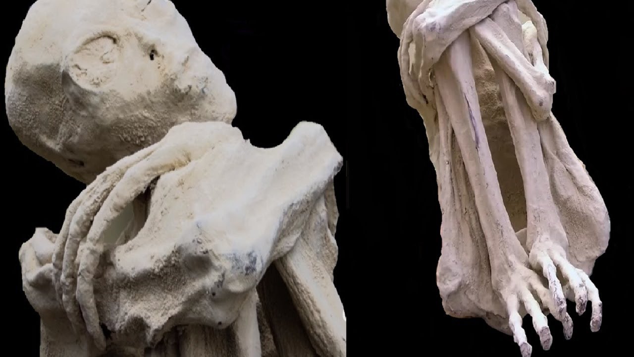 HALLAN MOMIA EXTRATERRESTRE - LADY MACABRE - YouTube