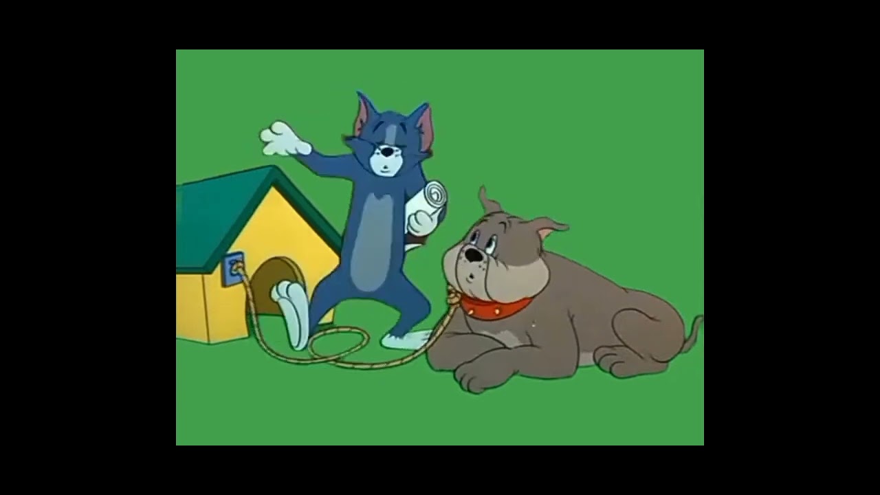 tom n jerry cartoon - YouTube