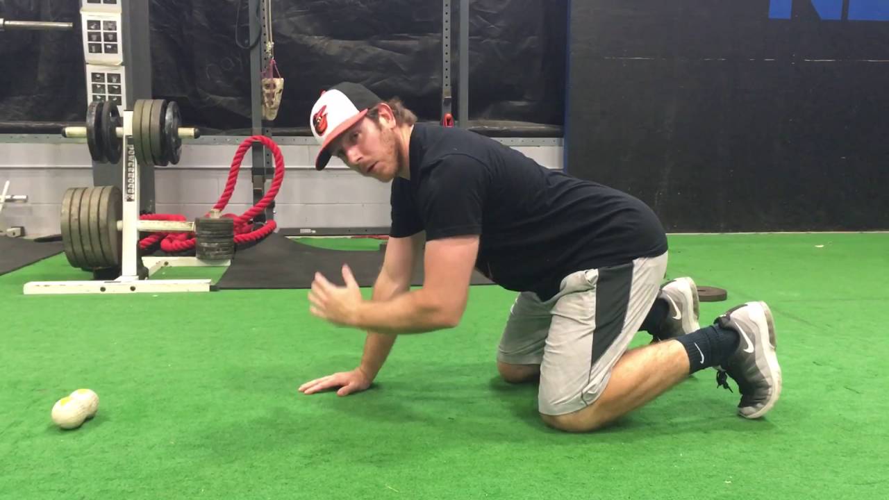 Quadruped T-Spine Rotation - YouTube