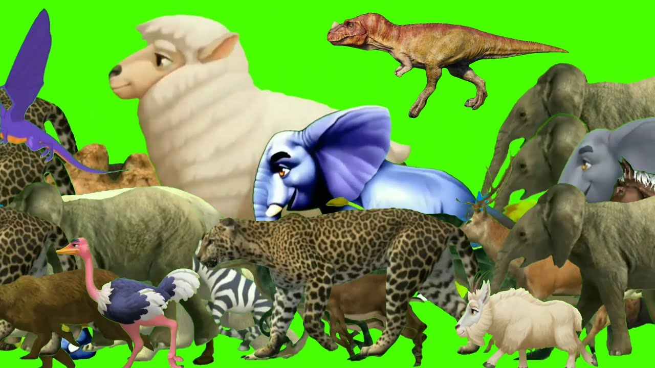 Animal Stampede Running | Animals Stampedes | Wild Animal Stampede ...