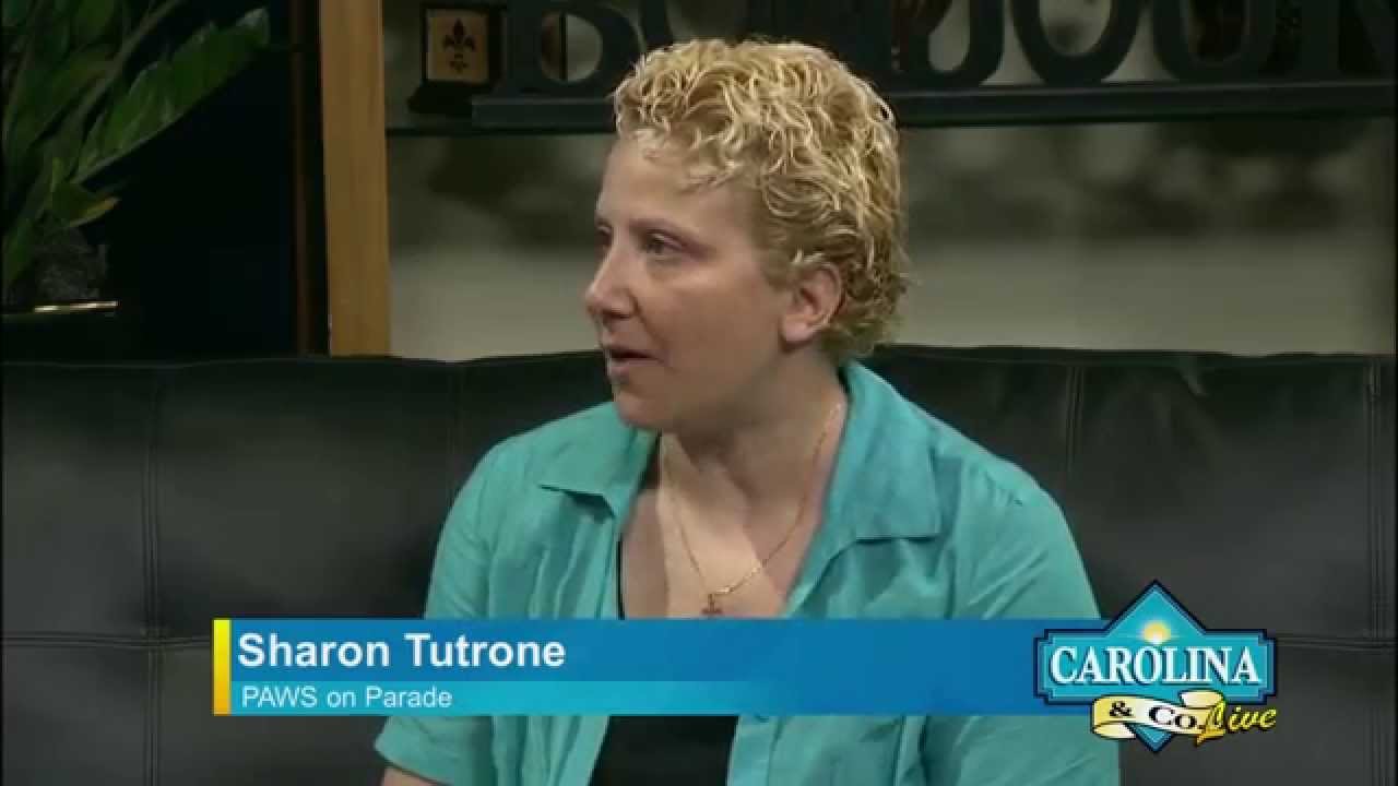 Carolina & Company Live - Sharon Tutrone Segment 6/9/15 - YouTube