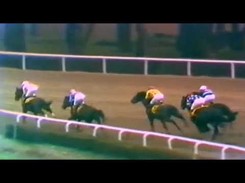 TJK 1984 EGE DERBİSİ ( G3 )