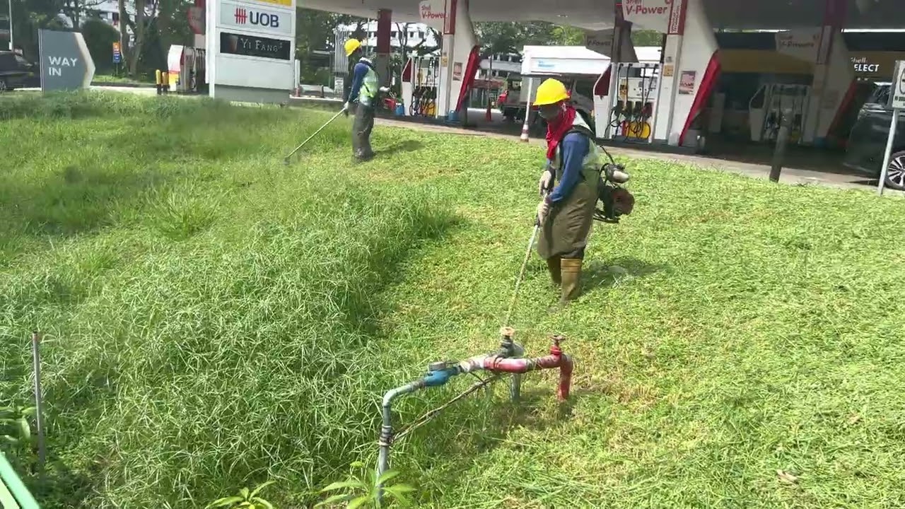 Singapore landscape garden work grasscutting - YouTube
