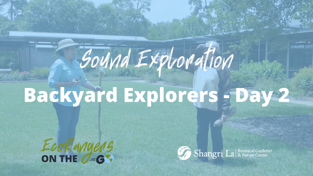 Backyard Explorers: Day 2 - Sound Exploration - YouTube