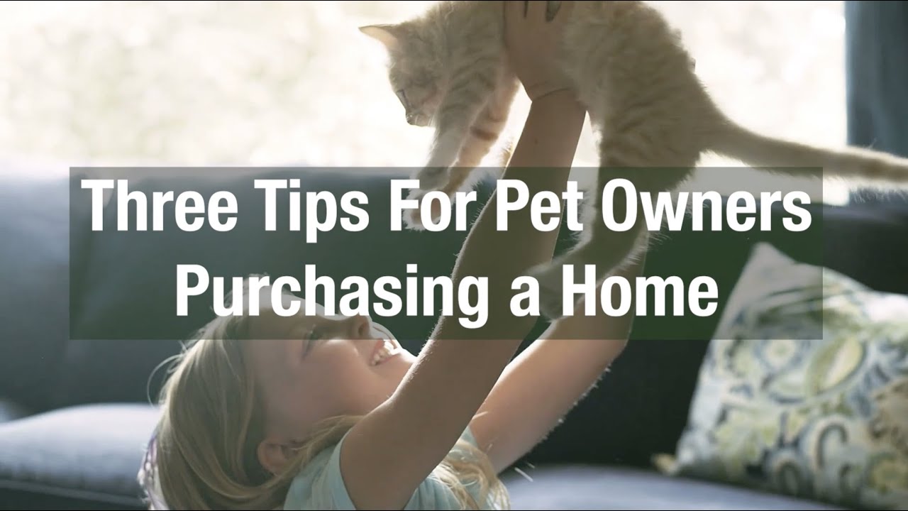 tips for pet owners buying a home - YouTube