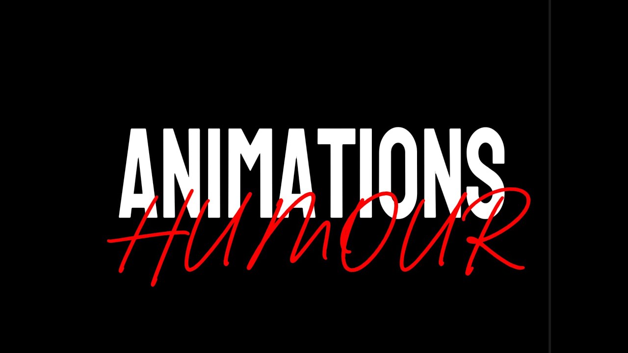 HUMOUR ANIMATION (rire garanti) - YouTube