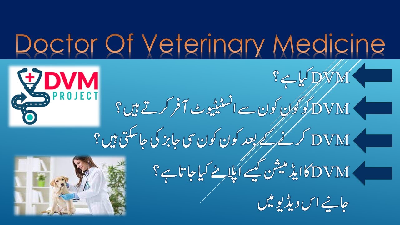 What is DVM || Complete Detail || Applying Procedure || Offering ...