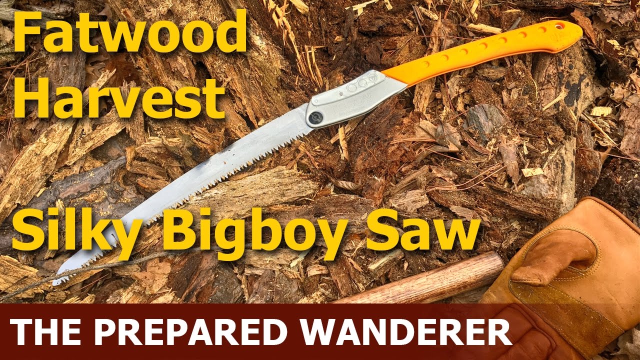 Fatwood Harvest with Silky Big Boy Saw - YouTube