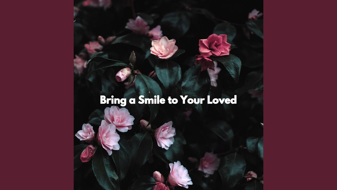 Sparkling Backdrops for Delightful Nights - YouTube