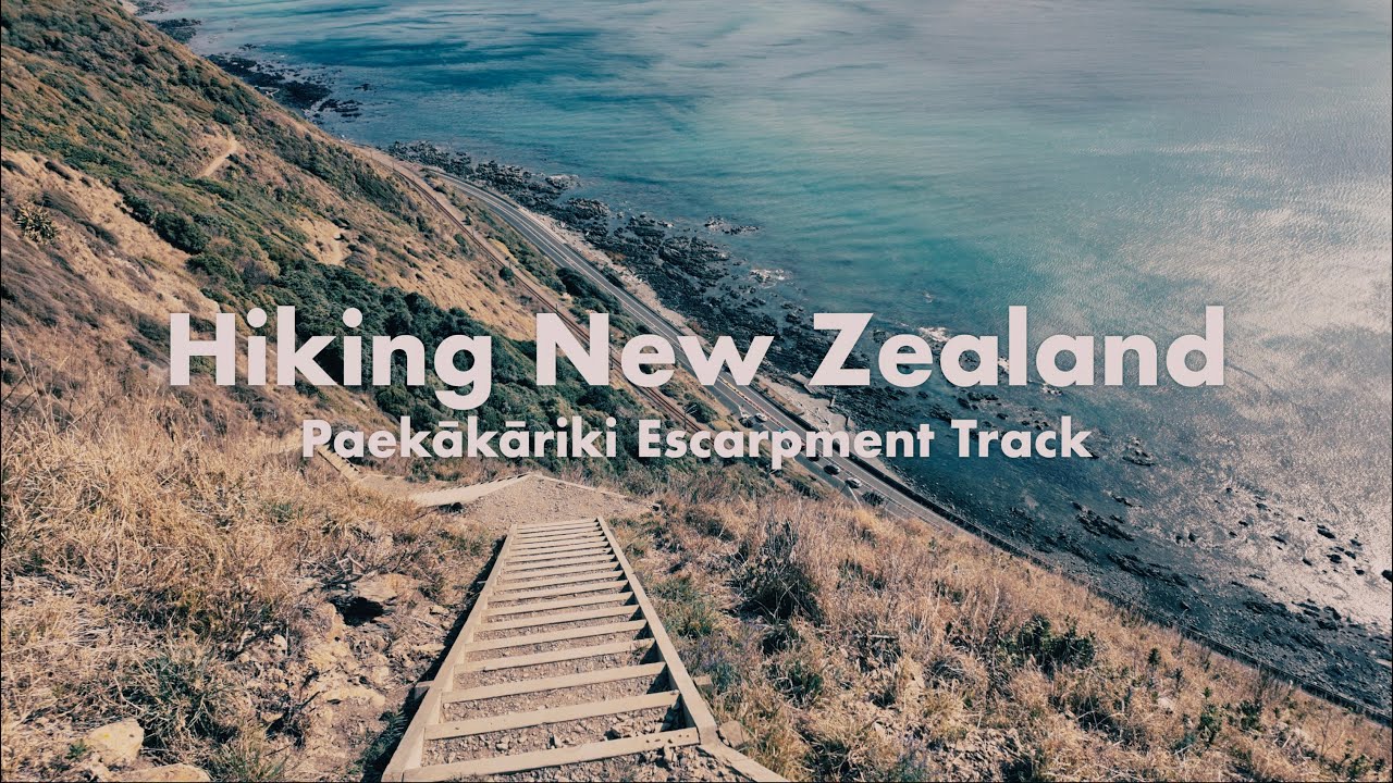 Hiking New Zealand | Paekākāriki Escarpment Track - YouTube