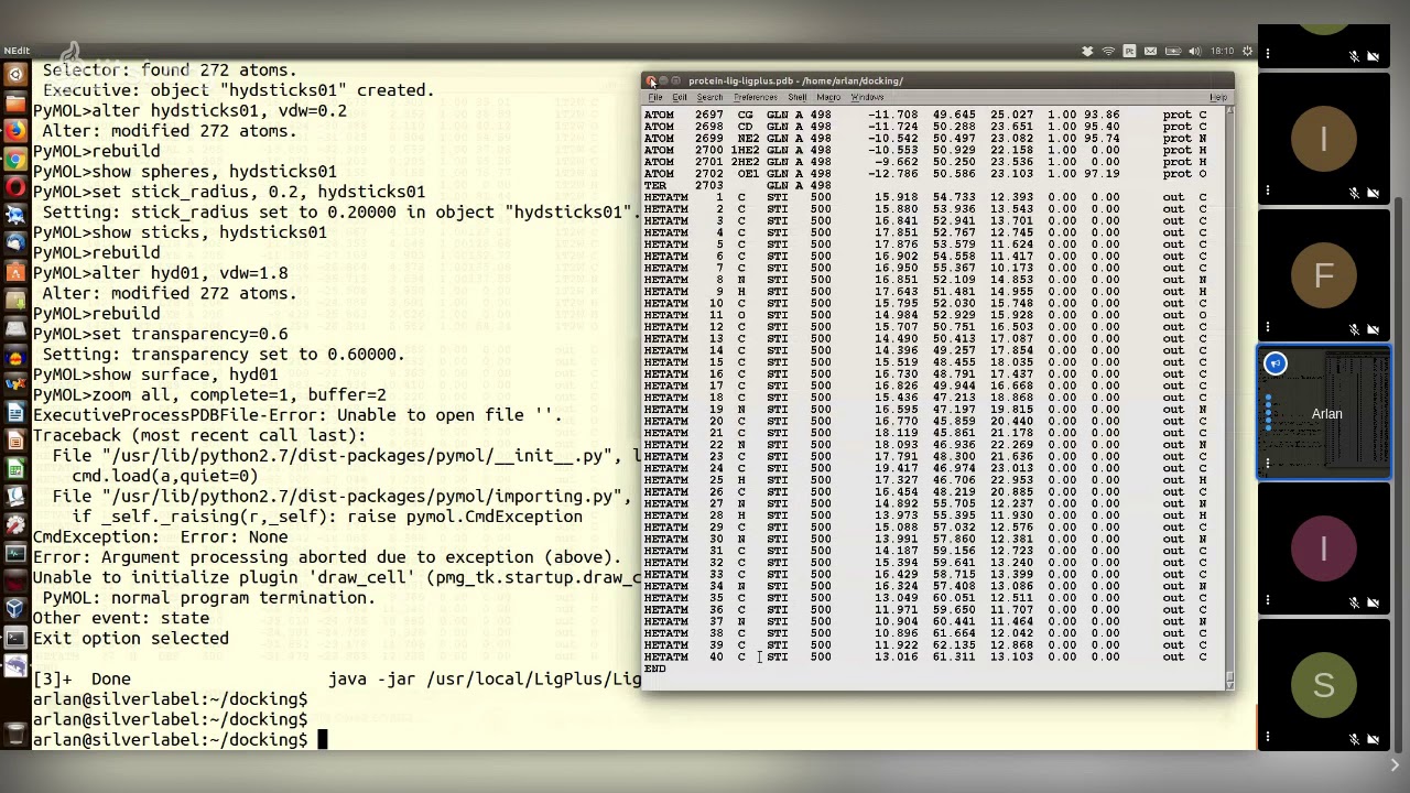 Usando o Autodock Vina - parte 2 - YouTube