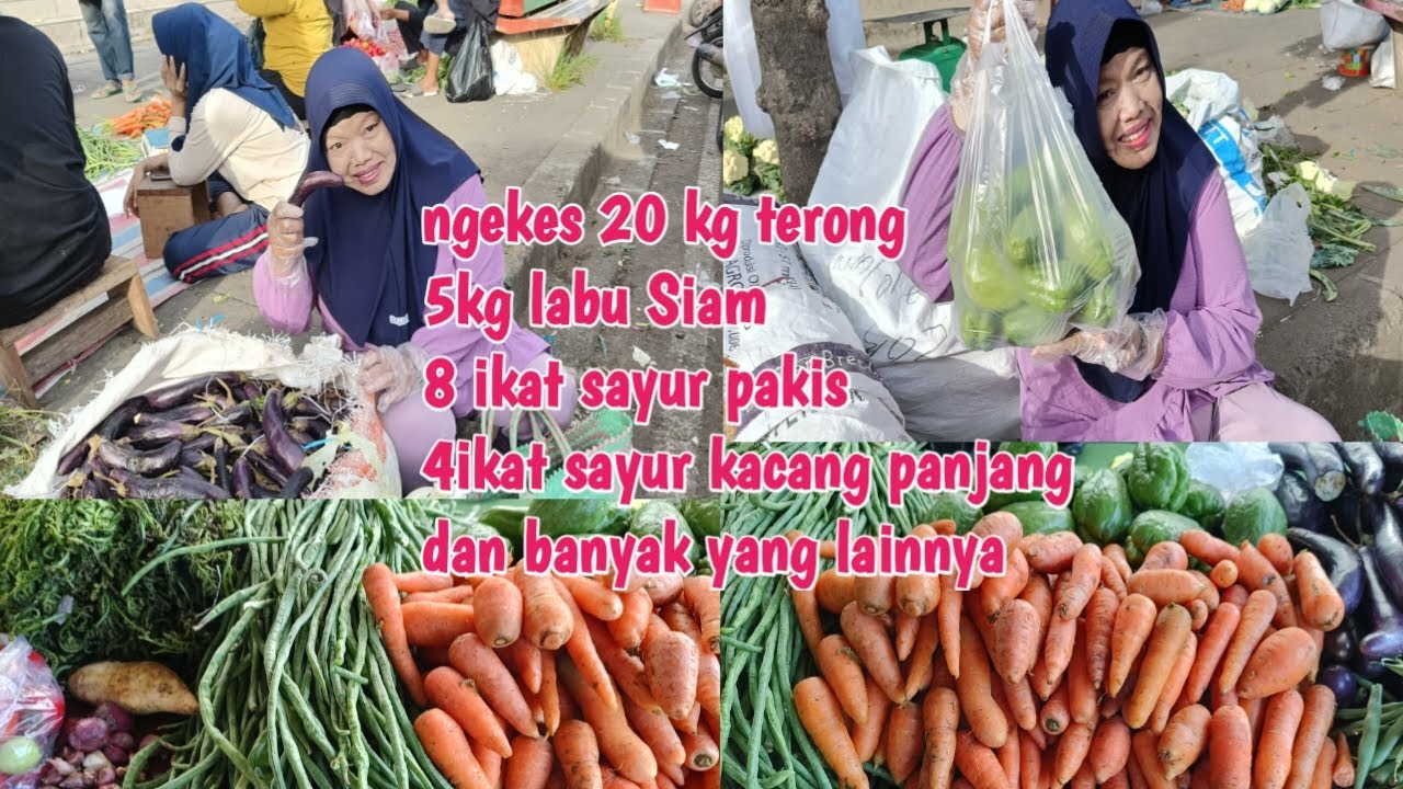 NGEKES DAPAT LABU SIAM LIMA KILO TERONG DUA PULUH KILO CABE SETENGAH KILO WORTEL MASIH BANYAK ...