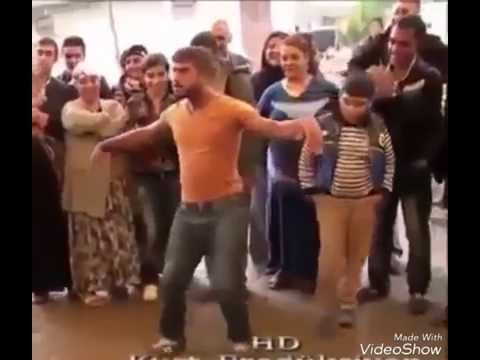 ÇİFTLEŞME DANSI YAPAN ARİZONA KERTENKELELERİ