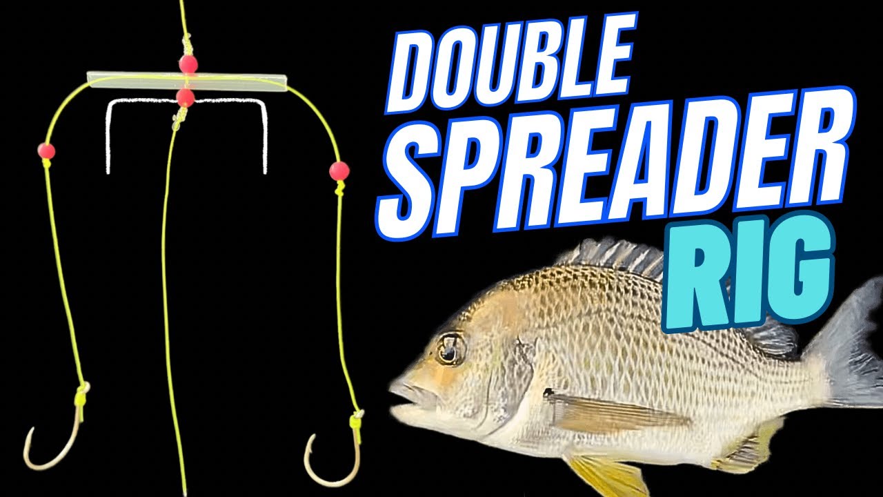 Double Spreader Rig, double the hit! - YouTube