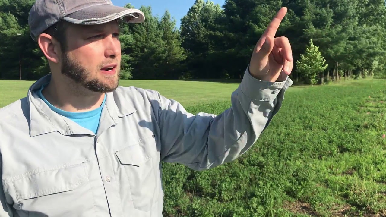 Acoustic Bat Monitoring - YouTube