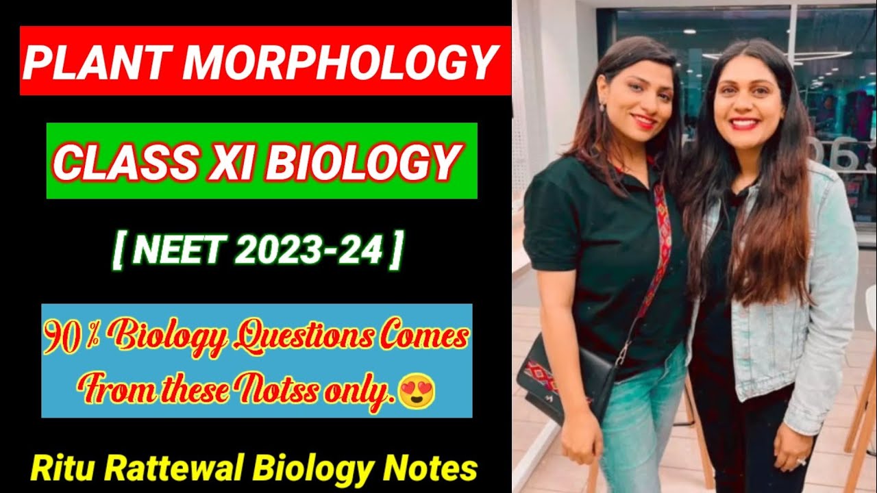 Plant Morphology Ritu Rattewal Neet Biology Notes Class 11 Biology ...