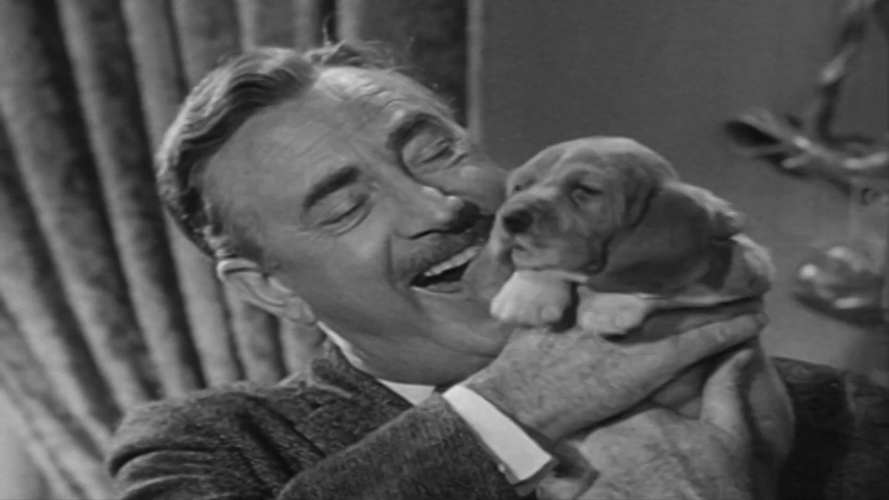 The Beverly Hillbillies - Season 1, Episode 30 - Duke Becomes a Father ...