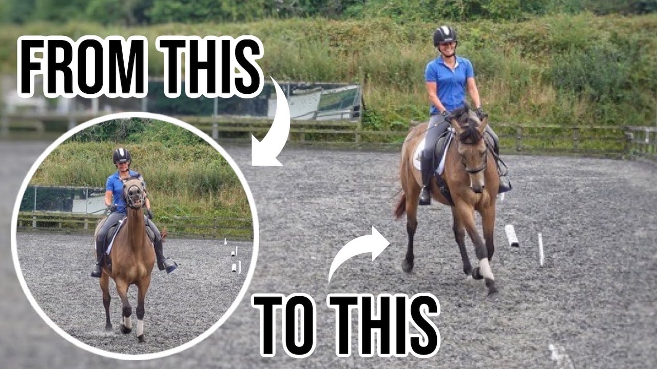IMPROVING THE CONNECTION | Dressage Lesson - YouTube