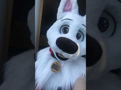 Bolt fursuit cosplay i made! Costume de Volt que j’ai fais! - YouTube