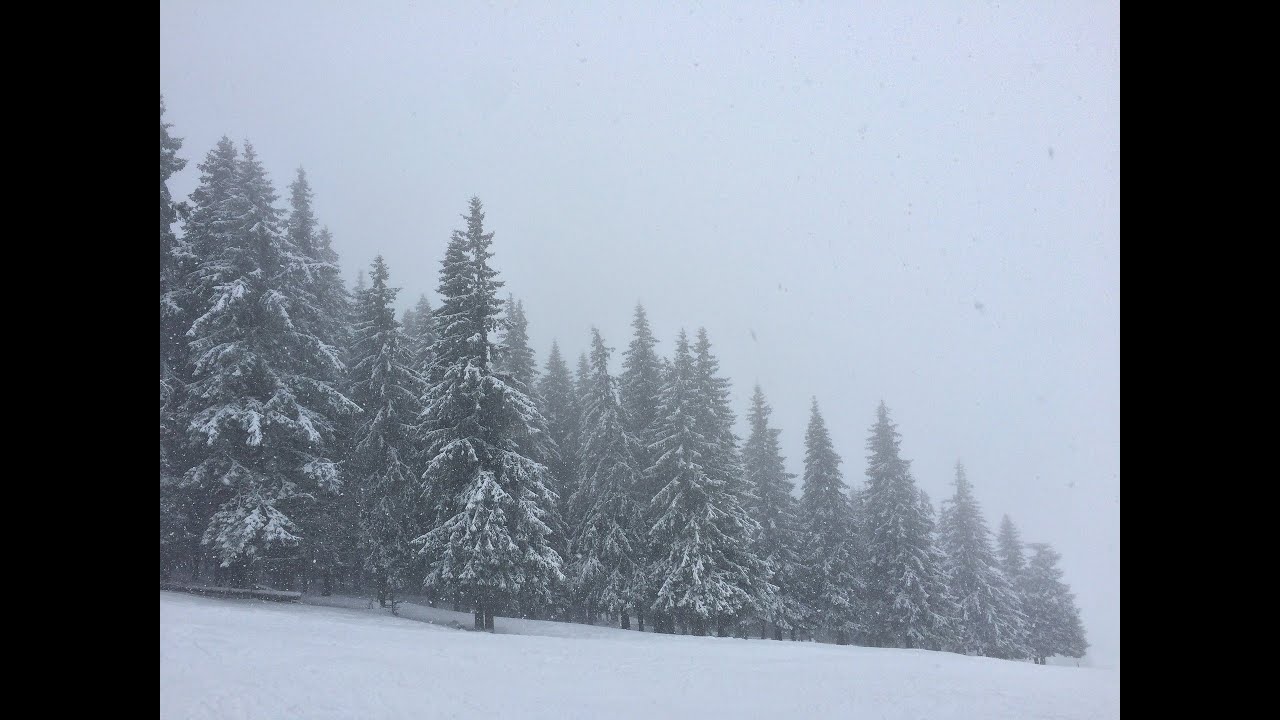 Snow Blizzard Sounds for Sleeping and Rest [10 HOURS] - YouTube