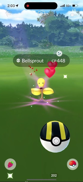 (Bellsprout Community Day) Catching Shiny Bellsprout In Pokémon Go - YouTube