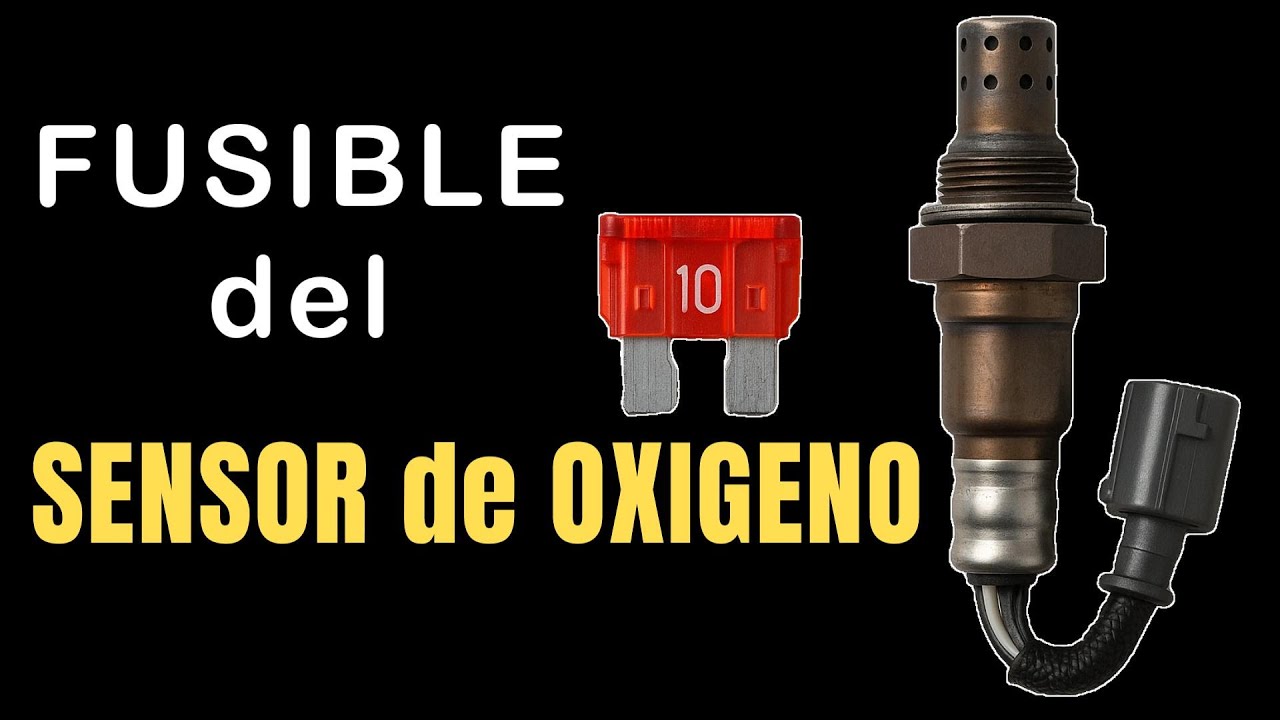 💥Cual es el FUSIBLE del Sensor de Oxigeno⚡ - YouTube